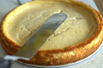 Why Do Cheesecakes Crack - and How to Avoid It - Baking Bites